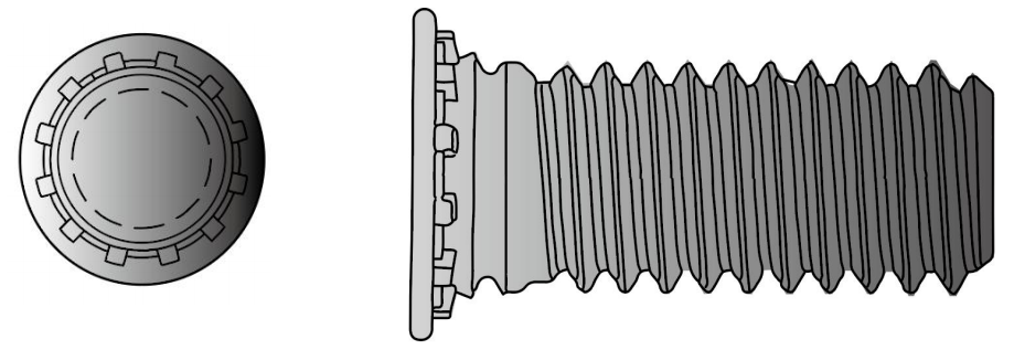 CLINCHING SCREW - FLUSH HEAD STUDS - Shanghai Screwtool Industrial